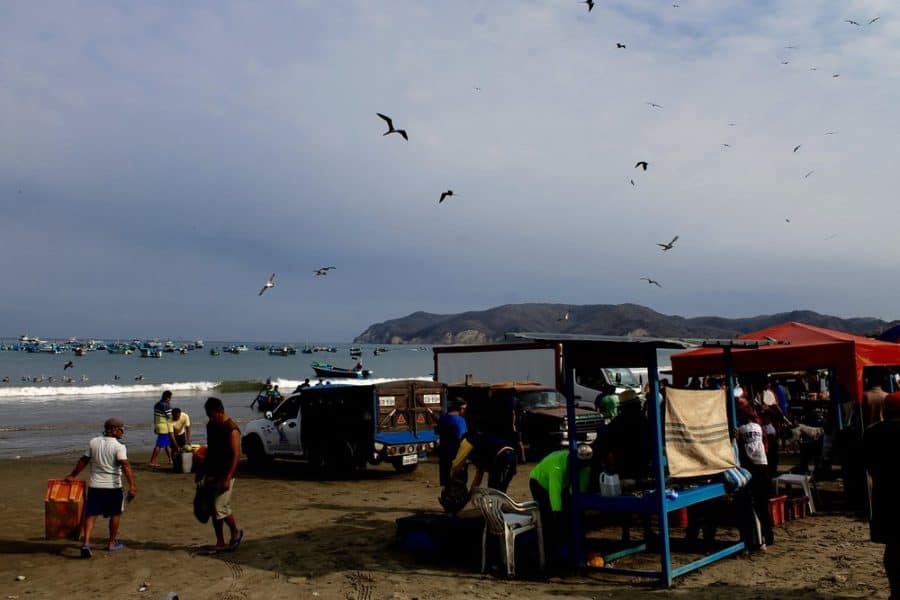 What Do They Eat in Ecuador? A Guide to Ecuadorian Food | The Vanabond ...