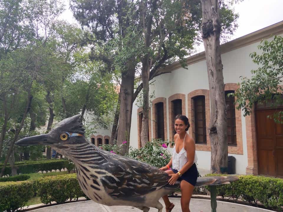 5 Best Things to Do in Saltillo Mexico | The Vanabond Tales