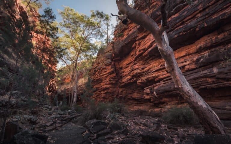 13 Gorgeous Australian Gorges in the Outback | The Vanabond Tales