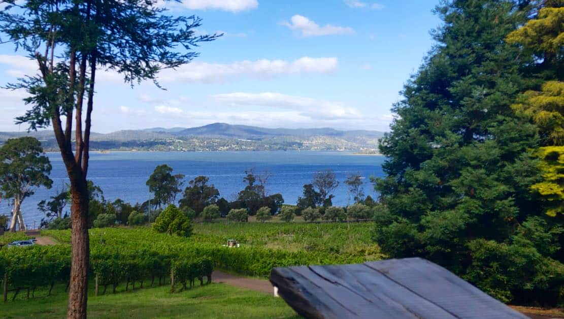6 Best Wineries in the Tamar Valley Not to Miss | The Vanabond Tales